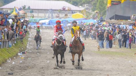 Pacuan Kuda Hut Ke Kota Takengon Akan Diikuti Ekor Kuda Lintas Gayo