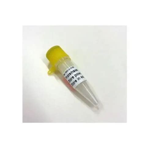 Proteinase K Lyophilized 30ku Mg With Buffer Biopremier