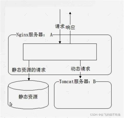 Nginx详解（一文带你搞懂nginx） Csdn博客