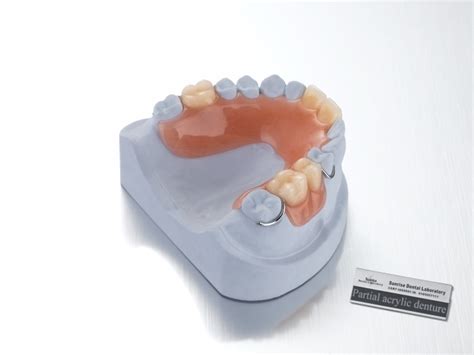 Acrylic Partial Dentureacrylic Denture