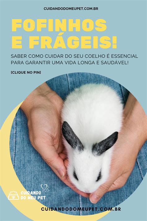 Como cuidar de coelho guia para convivência saudável e feliz Artofit