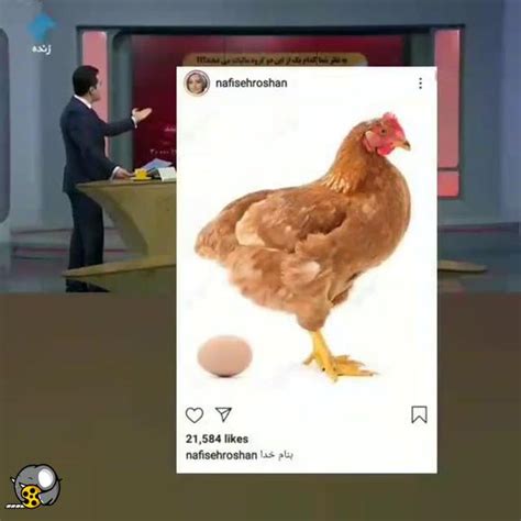 واکنش نفیسه روشن به حرفهای مجری شبکه یک فیلو