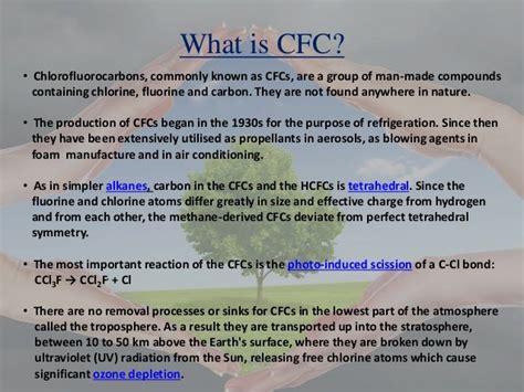 Cfc Pollution And Politics