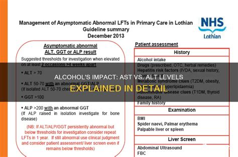 Alcohols Impact Ast Vs Alt Levels Explained In Detail Cyalcohol