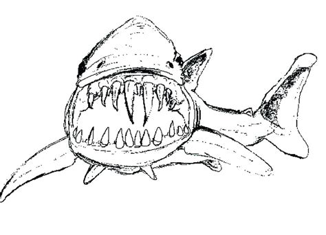 Jaws Coloring Pages At Free Printable Colorings Pages To Print And Color