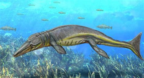Tierra De Dinosaurios Tyrannoneustes Lythrodectikos Un Nuevo