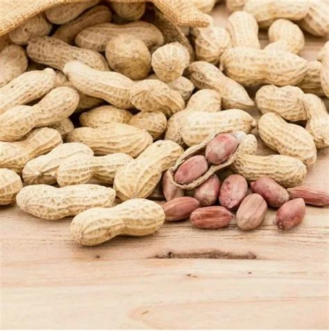 Roasted Peanutssalted Peanutscoated Peanuts For Sale Buy Best Quality Custom Made Wholesale