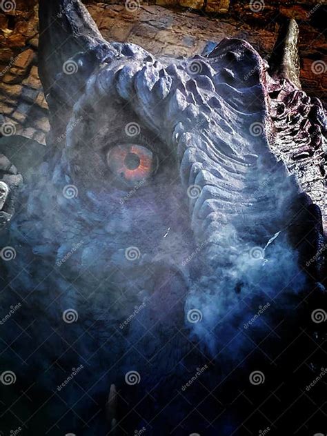 A Dragon In The Castle Stock Image Image Of Affectionately 256223703
