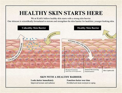Healthy Skin Barrier I Steps To Help Maintain Healthy Looking Skin