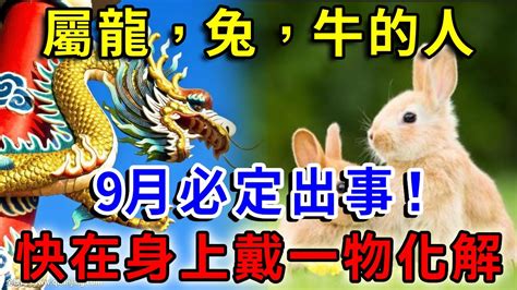 屬龍，兔，牛的人，9月必定出事！！50年難遇一次！快在身上戴「一物」化解！一禪語 運勢 風水 佛教 生肖 佛語禪心 Youtube