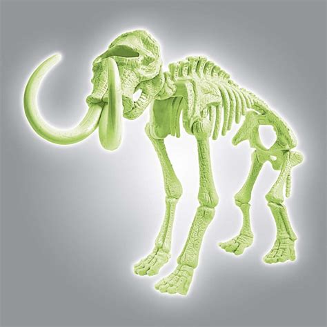 NAUKOWA ZABAWA SKAMIENIAŁOŚCI WYKOPALISKA MAMUT Zabawki Nino e Sklep z zabawkami w Bochni
