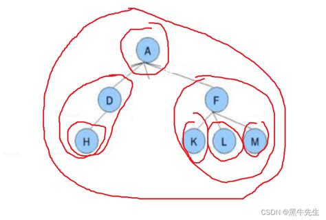 【数据结构】二叉树 堆二叉树堆 Csdn博客