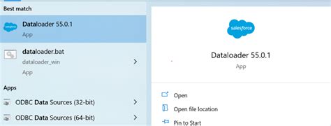 Data Loader With Zulu Open Jdk 11 Installation Salesforce Turtle