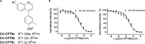 Measure Tlr8 Inhibition With Seap Assay A Structures Of Download