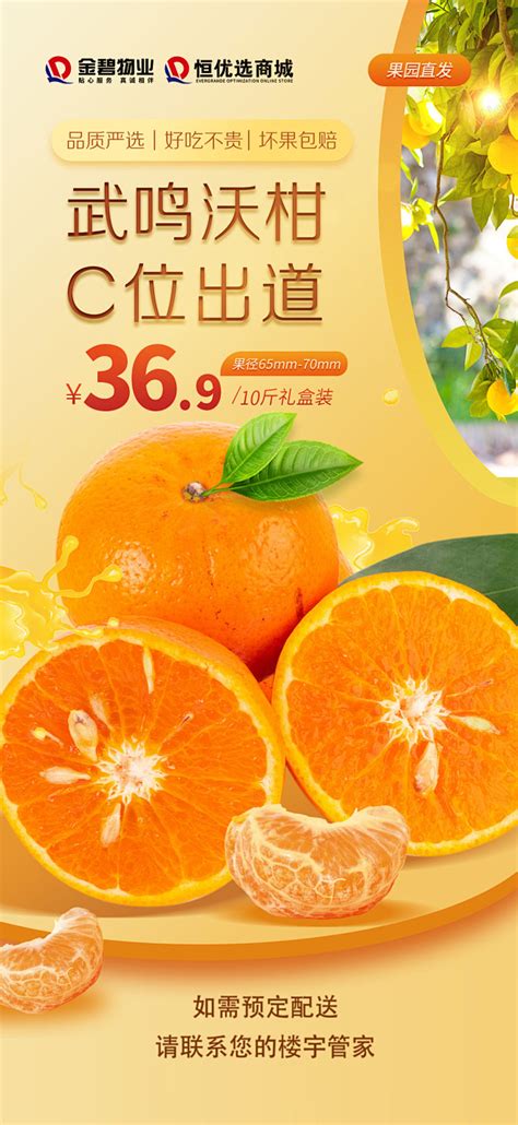 广西沃柑