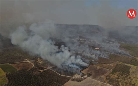 Se Registra Incendio Forestal En Nuevo Morelos Tamaulipas Grupo Milenio