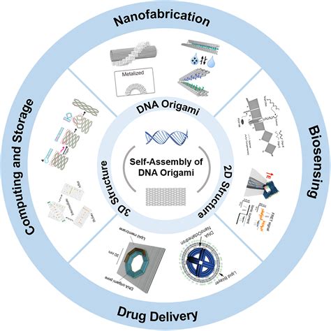 Self Assembly Of Dna Origami For Nanofabrication Biosensing Drug Delivery And Computational