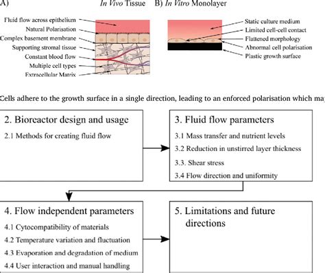 Table From Design Considerations Of Benchtop Fluid Flow Bioreactors For Bio Engineered Tissue