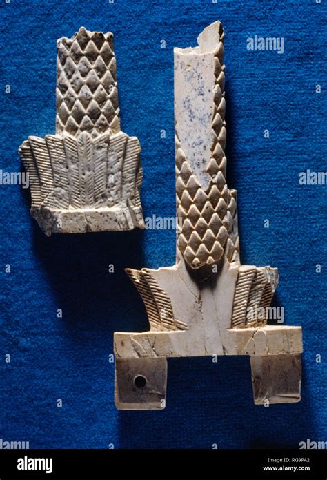Date Palm Trunks Nimrud Ivory From Room Sw37 Fort Shalmaneser Within