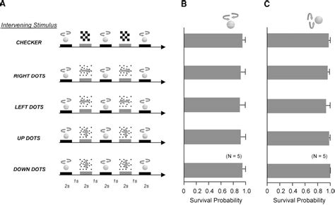 Figure 2 From Perception Of Temporally Interleaved Ambiguous Patterns Semantic Scholar