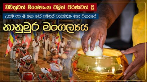 උතුම් ජය ශ්‍රි මහා බෝ සමිදුන් අභියස පැවති නානුමුර මංගල්‍යය 2024