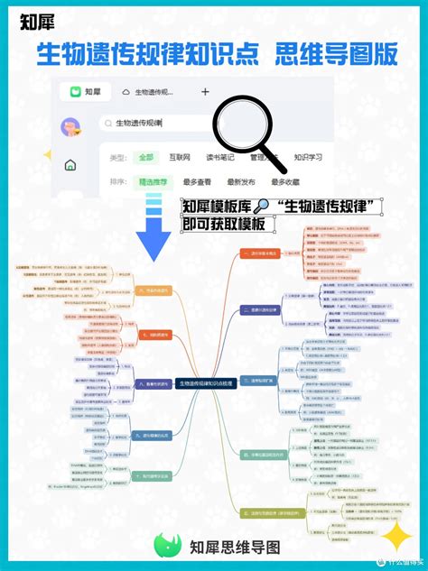 一张思维导图帮你梳理生物遗传规律工具书什么值得买