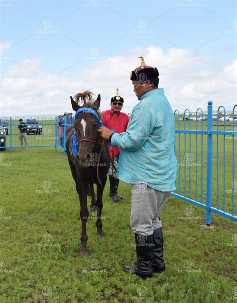 МУ ын Манлай уяач С Эрдэнэбат Нийлж сунгаагүй учраас баримжаалах аргагүй байлаа