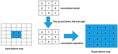 Biomimetics Free Full Text Yolo Drs A Bioinspired Object Detection