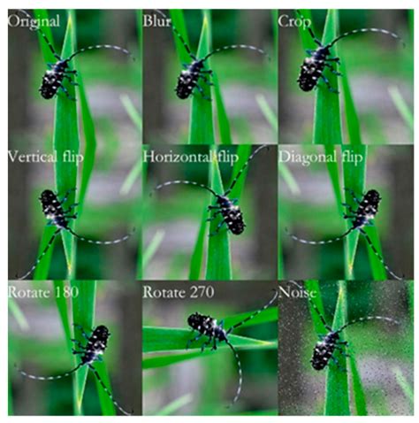 Object Detection Based On Yolov5 And Ghostnet For Orchard Pests