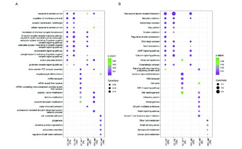 Functional Enrichment Results A Go Biological Process And B Kegg