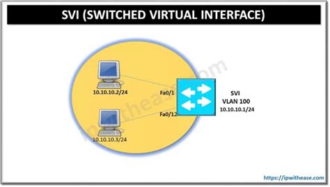 Vlan Vs Svi Understand The Difference