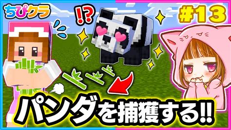 【ちぴクラ】パンダを捕獲して動物園の仲間にするぞ～🐼 🌼パート13【マイクラまいくら】 Youtube