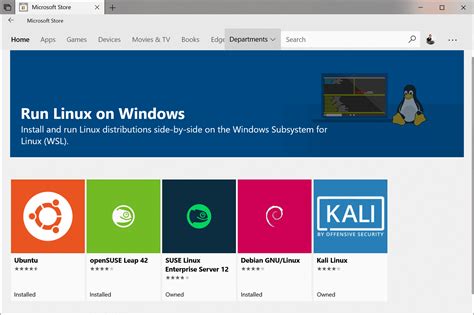 Cómo Instalar Kali Linux En Windows 10 Wsl 2 ️