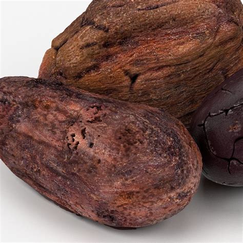 Realistic Cocoa Beans 3d Model 29 Ma Obj Max Fbx Free3d