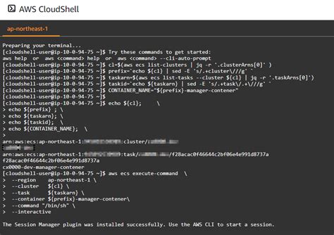 Aws Fargateでecs Exec、session Managerモロモロのtips 電通総研 テックブログ
