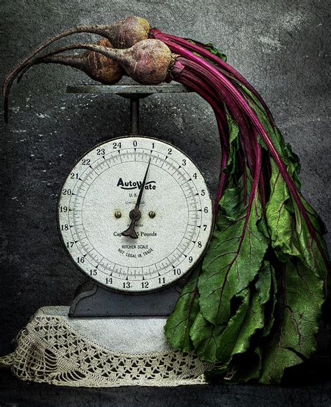 Auto Wate Scale Photograph By Carol Ward Fine Art America