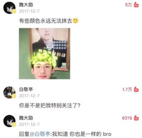 白敬亭和魏大勋就是普通同事风闻