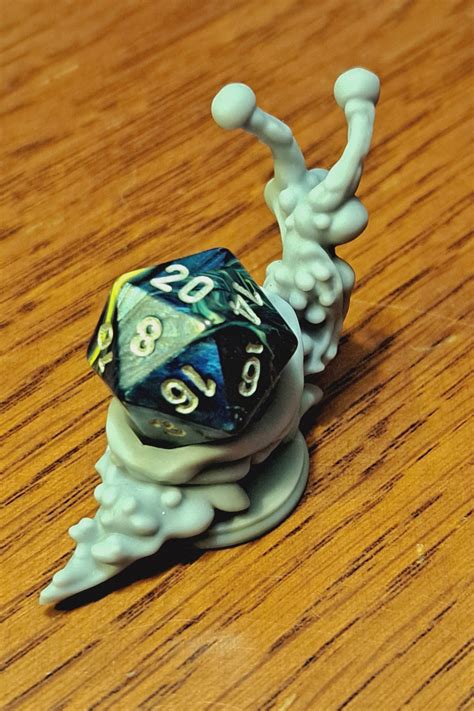 Stl File Snail Die Cozy D20 Holder・3d Print Design To Download・cults