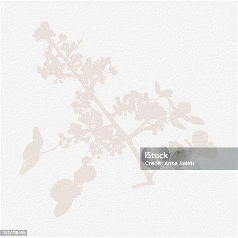 부드러운 베이지 색 색조의 섬세한 수채화 식물 디지털 종이 꽃 배경 화이트 오가닉 페이퍼 텍스처의 뉴트럴 우아한 패턴 0명에 대한 스톡 벡터 아트 및 기타 이미지 Istock