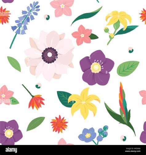 Floral Pattern Vector Witn White Background Stock Vector Image Art