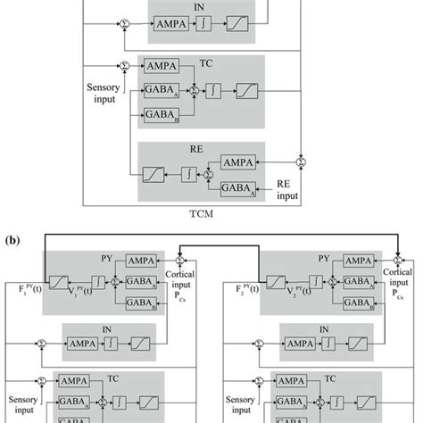 Thalamocortical Neural Population Model A Block Diagram Of A Single Download Scientific