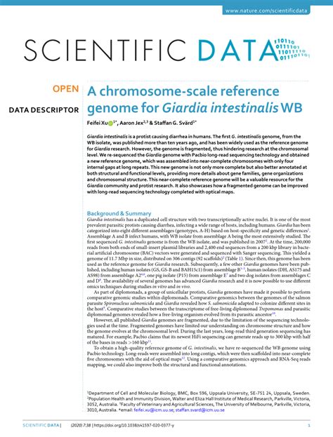 PDF A Chromosome Scale Reference Genome For Giardia Intestinalis WB