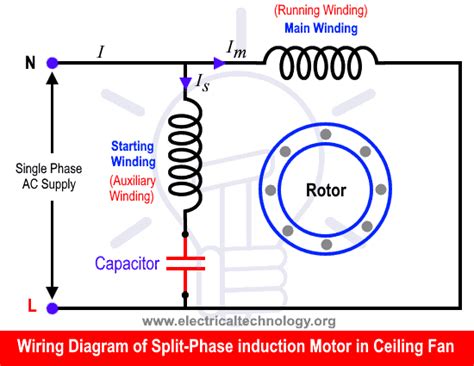 3 Speed Ceiling Fan Capacitor Wiring Diagram For Your Needs
