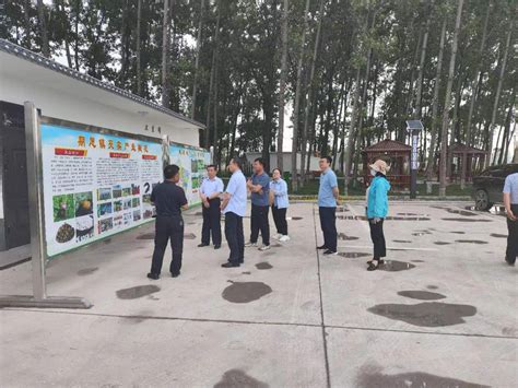 省评估专家组对淮滨县省级生态文明建设示范县开展技术评估 大河网