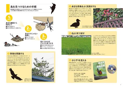 季節とフィールドから鳥が見つかる 1年で240種の鳥と出会う ：中野泰敬 日教販 児童書ドットコム