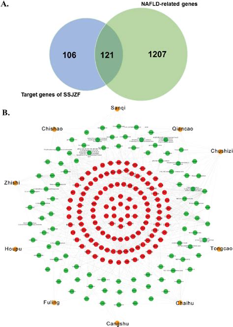 The Predictive Empirical Compound Target Network Model ECT Network Download Scientific Diagram