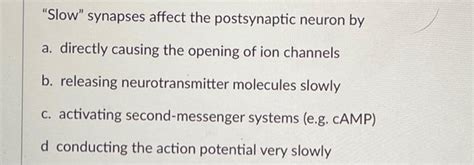 Solved Temporal Summation Occurs When A Two Excitatory