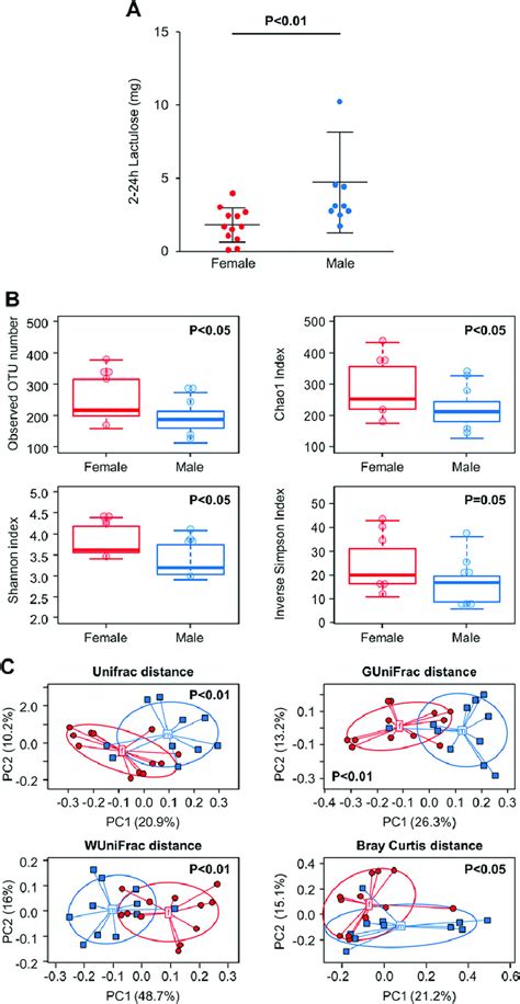 Sex Based Differences In Permeability Of Distal Small Intestine Colon