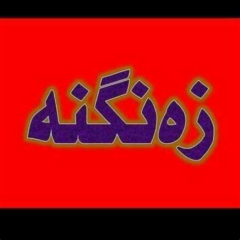 پیچی گةنچانی عشیرتی زنگةنه