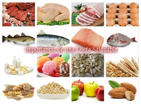 Regeneración de cartílago importancia de una dieta saludable Canal Salud y Belleza Natural